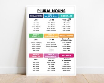 Plural Nouns Poster, Types of Plural Nouns, English Grammar, English ...