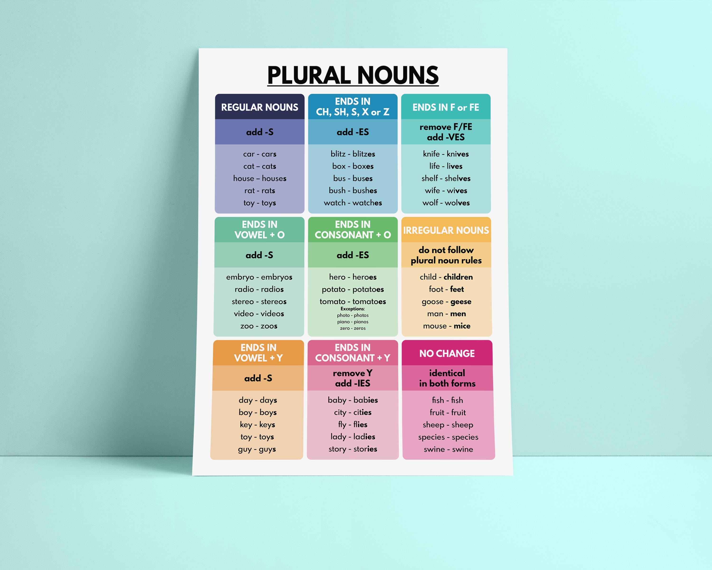 PLURAL NOUNS POSTER, Grammar Chart for Homeschool, Classroom Wall Decor ...