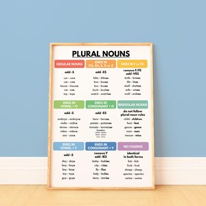 PLURAL NOUNS POSTER, Grammar Chart for Homeschool, Classroom Wall Decor ...
