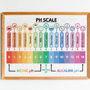 PH SCALE POSTER, Educational Posters, Science Poster for Kids, Visual ...