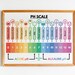 PH SCALE POSTER, Educational Posters, Science Poster for Kids, Visual ...