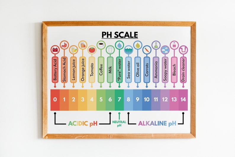 PH SCALE POSTER, Educational Posters, Science Poster for Kids, Visual ...