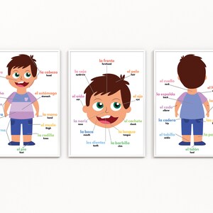 Spanish Language, BODY PARTS in Spanish, Face, Spanish Nouns, Spanish ...