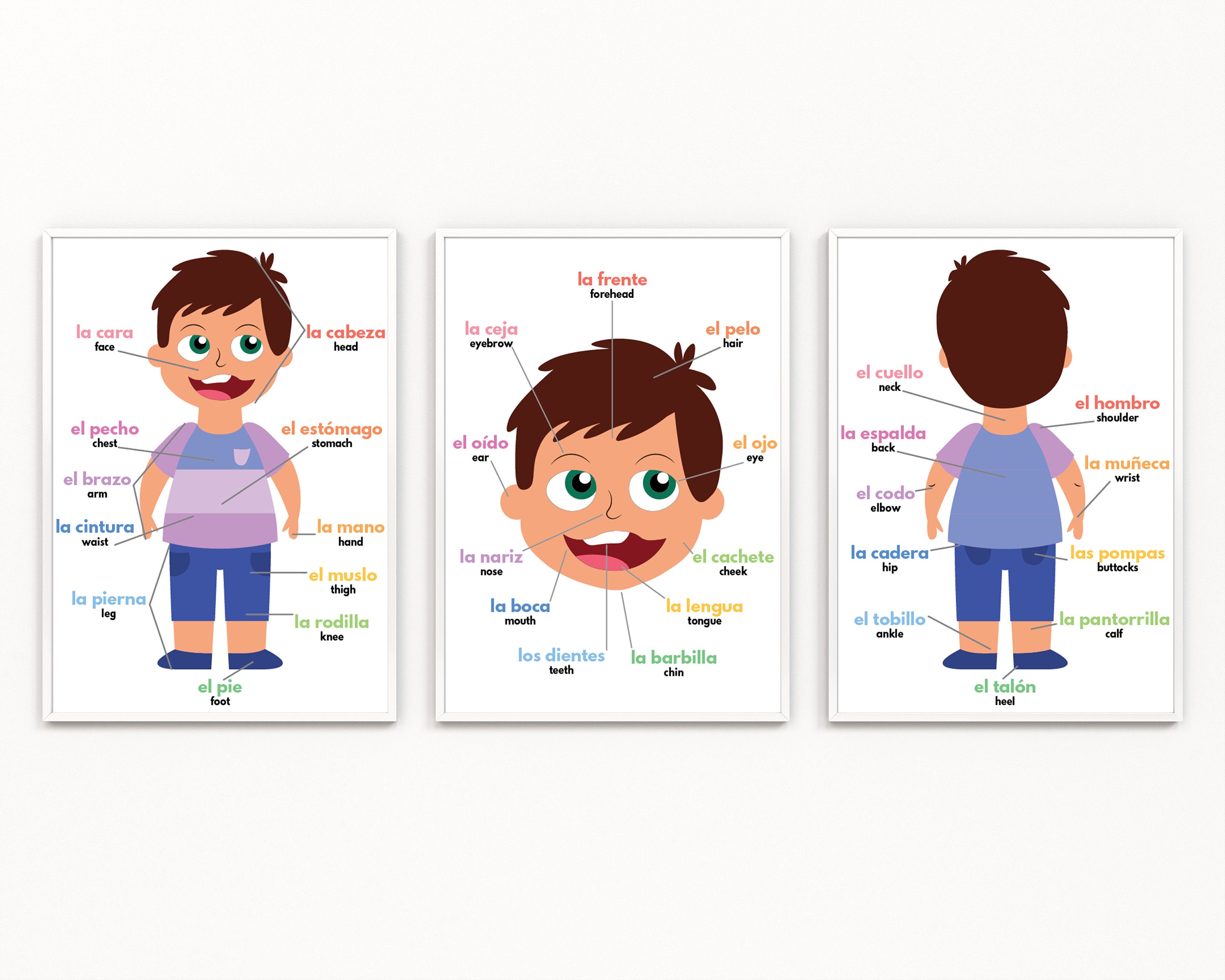 Spanish Language, BODY PARTS in Spanish, Face, Spanish Nouns, Spanish ...