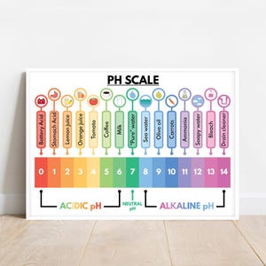 PH SCALE POSTER, Educational Posters, Science Poster for Kids, Visual ...