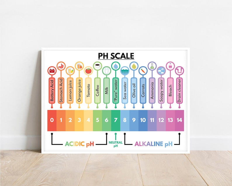 PH SCALE POSTER, Educational Posters, Science Poster for Kids, Visual ...