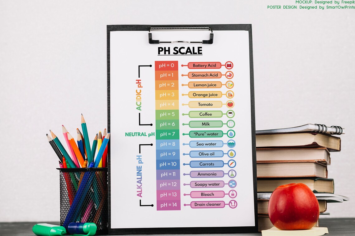 PH SCALE POSTER Educational Poster Science Poster for Kids | Etsy UK