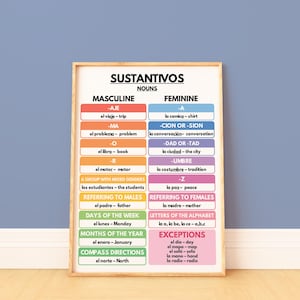 Spanish Language, NOUNS POSTER, Grammar Chart, Spanish Classroom Poster ...