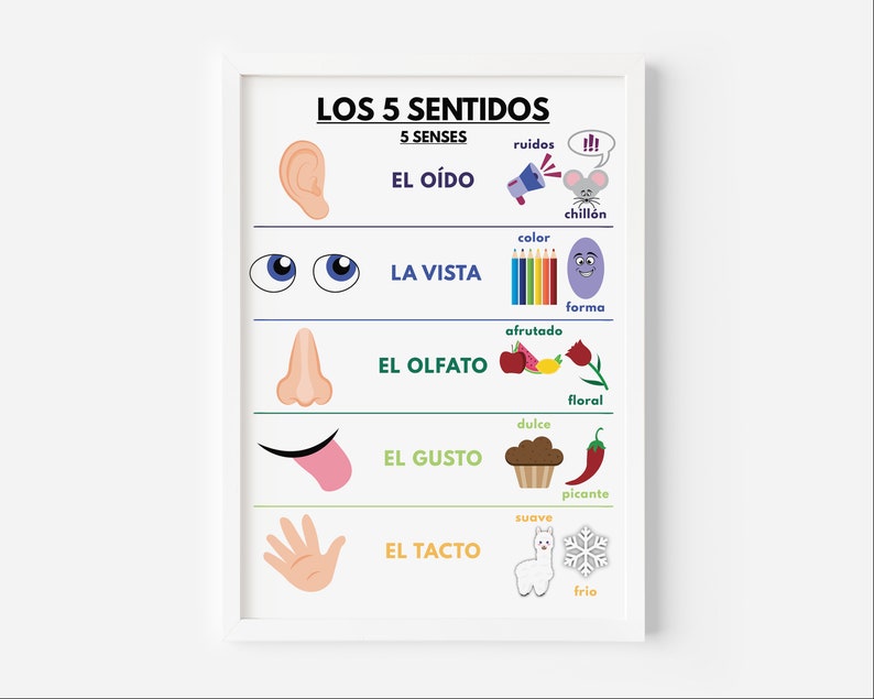 Spanish Language, FIVE SENSES POSTER, Educational Posters, Hearing ...