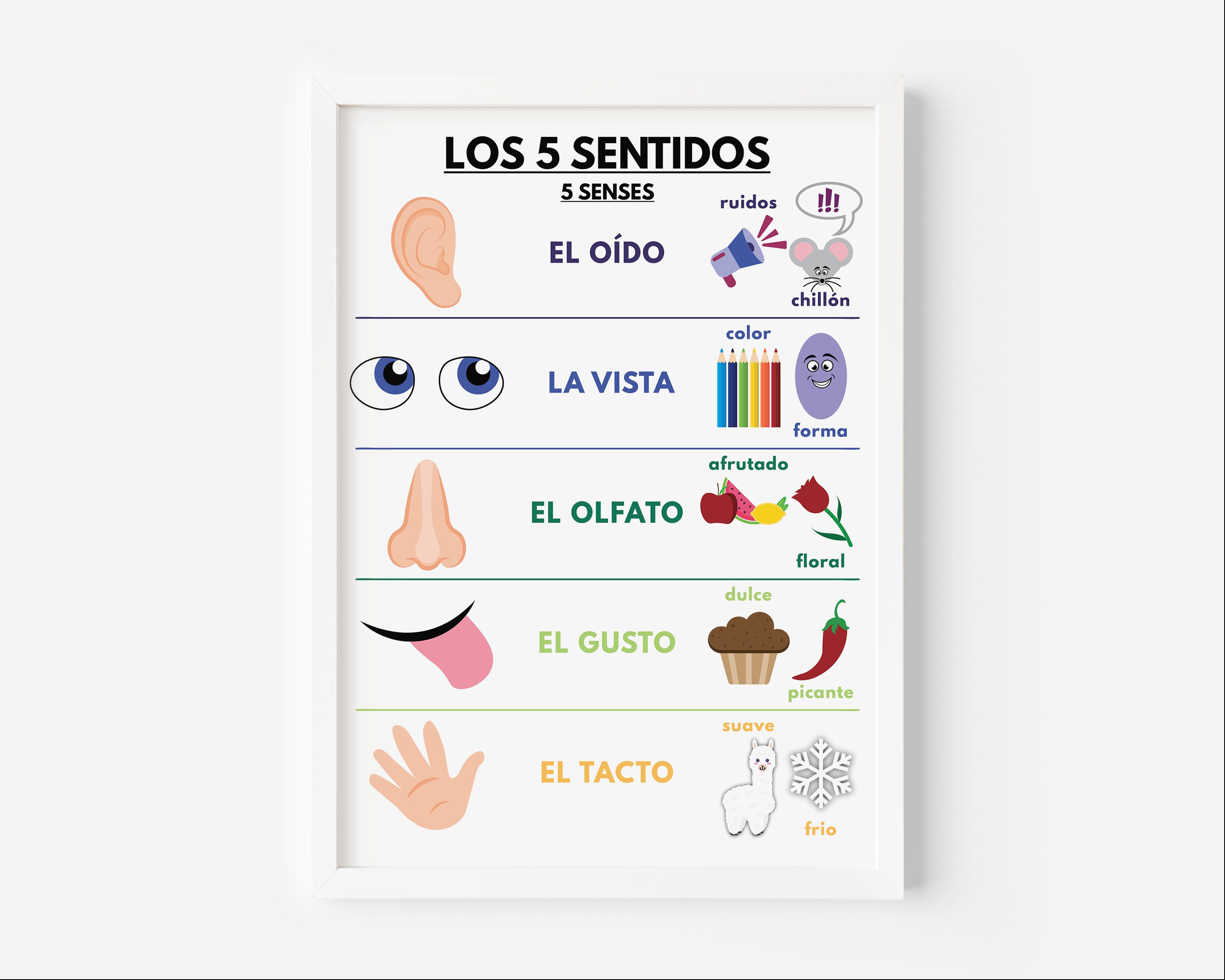 Spanish Language, FIVE SENSES POSTER, Educational Posters, Hearing ...