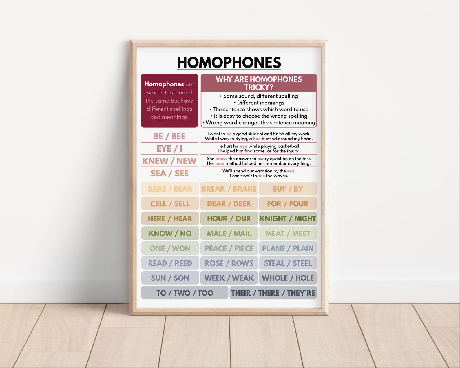 HOMOPHONES POSTER, English Language, Grammar Chart, Correct Spelling ...