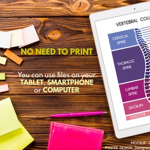 SPINE POSTER, Spinal Column, Human Spine, Anatomy Art, Vertebral Column ...