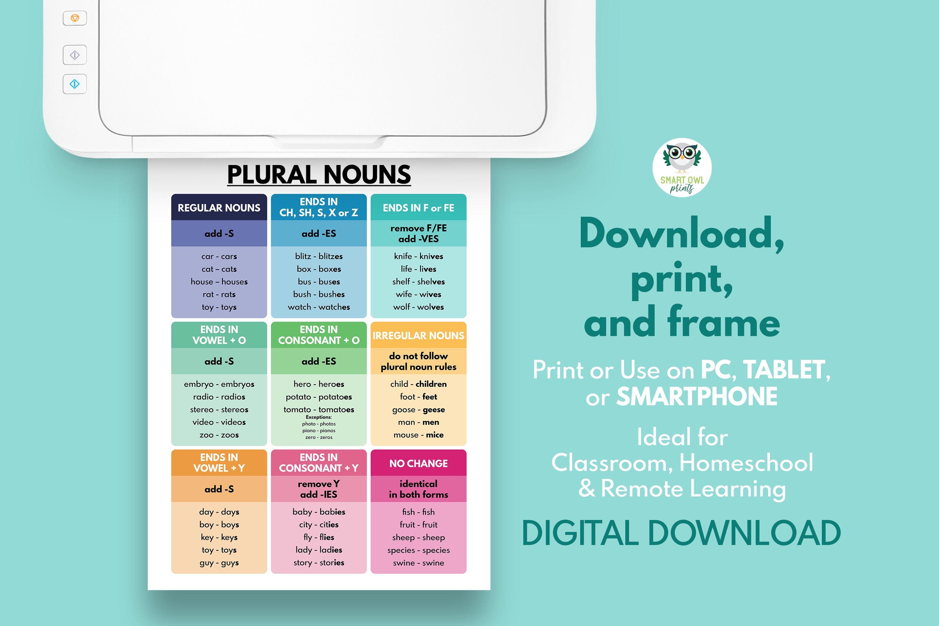 PLURAL NOUNS POSTER, Grammar Chart for Homeschool, Classroom Wall Decor ...