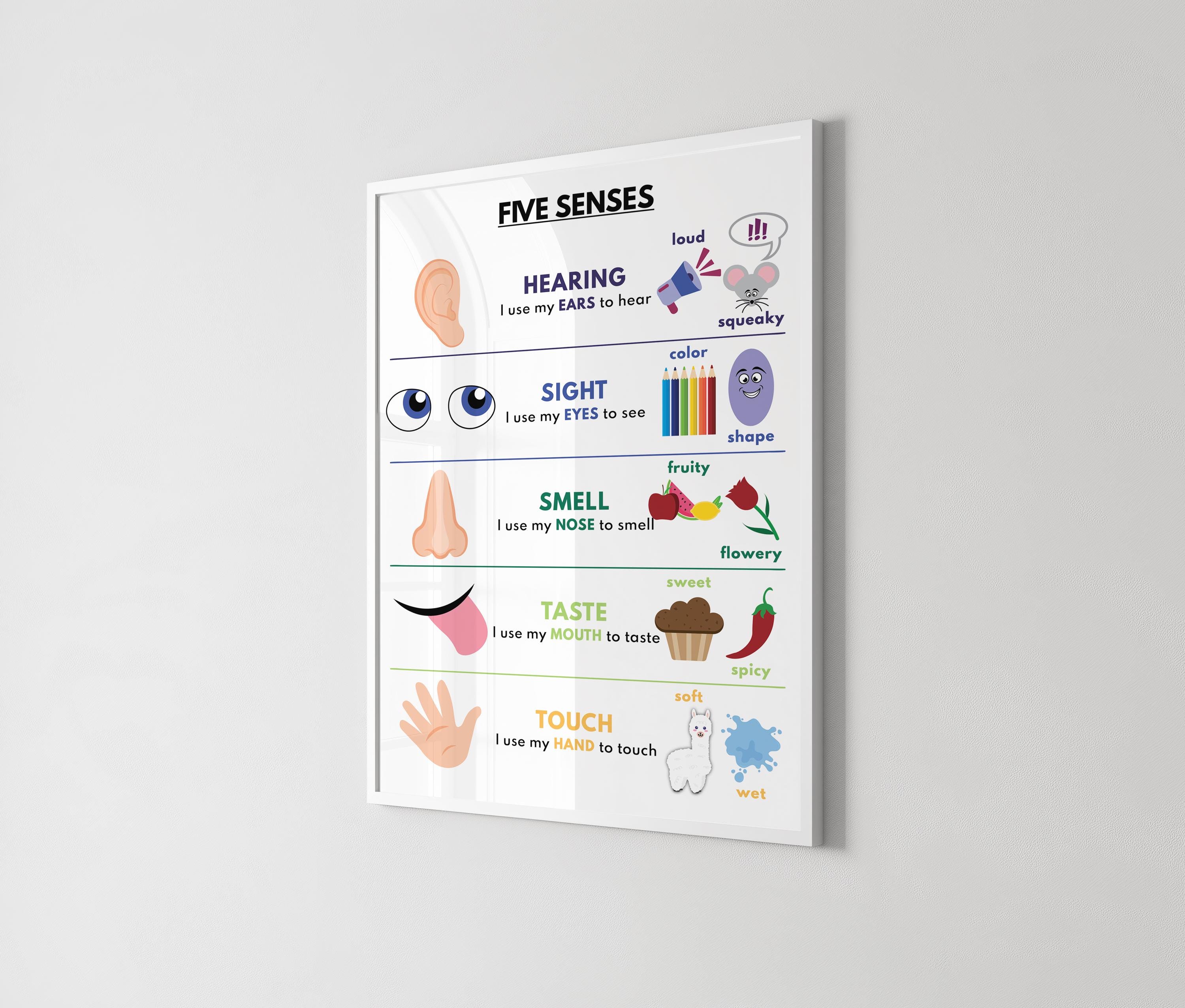 FIVE SENSES Poster, Educational Posters, Hearing Sight Smell Taste ...
