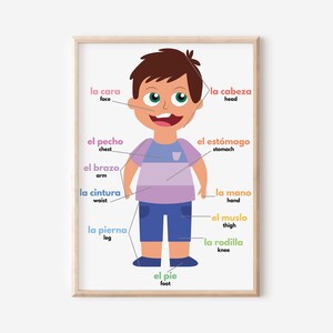 Spanish Language, BODY PARTS in Spanish, Face, Spanish Nouns, Spanish ...