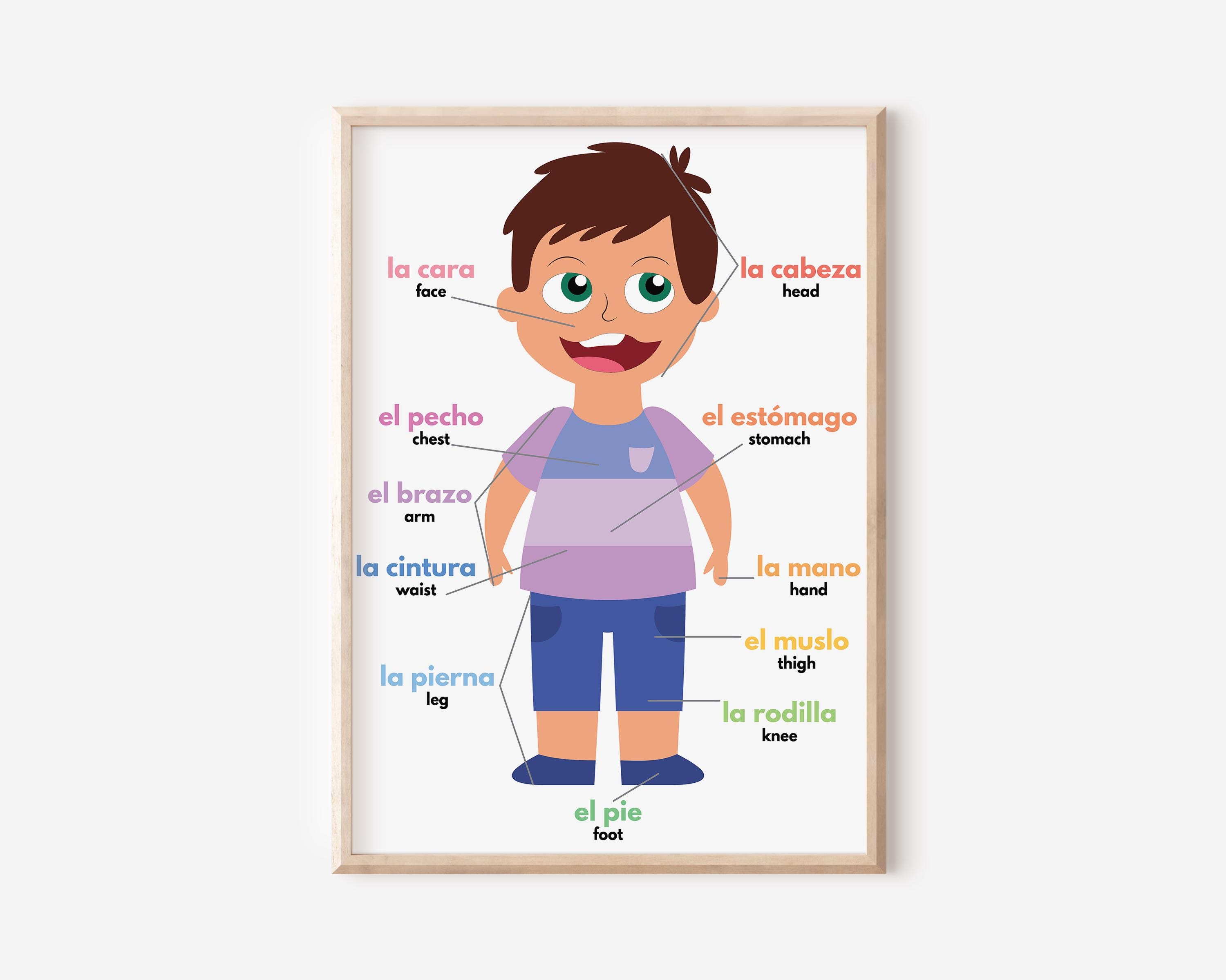 Spanish Language, BODY PARTS in Spanish, Face, Spanish Nouns, Spanish ...