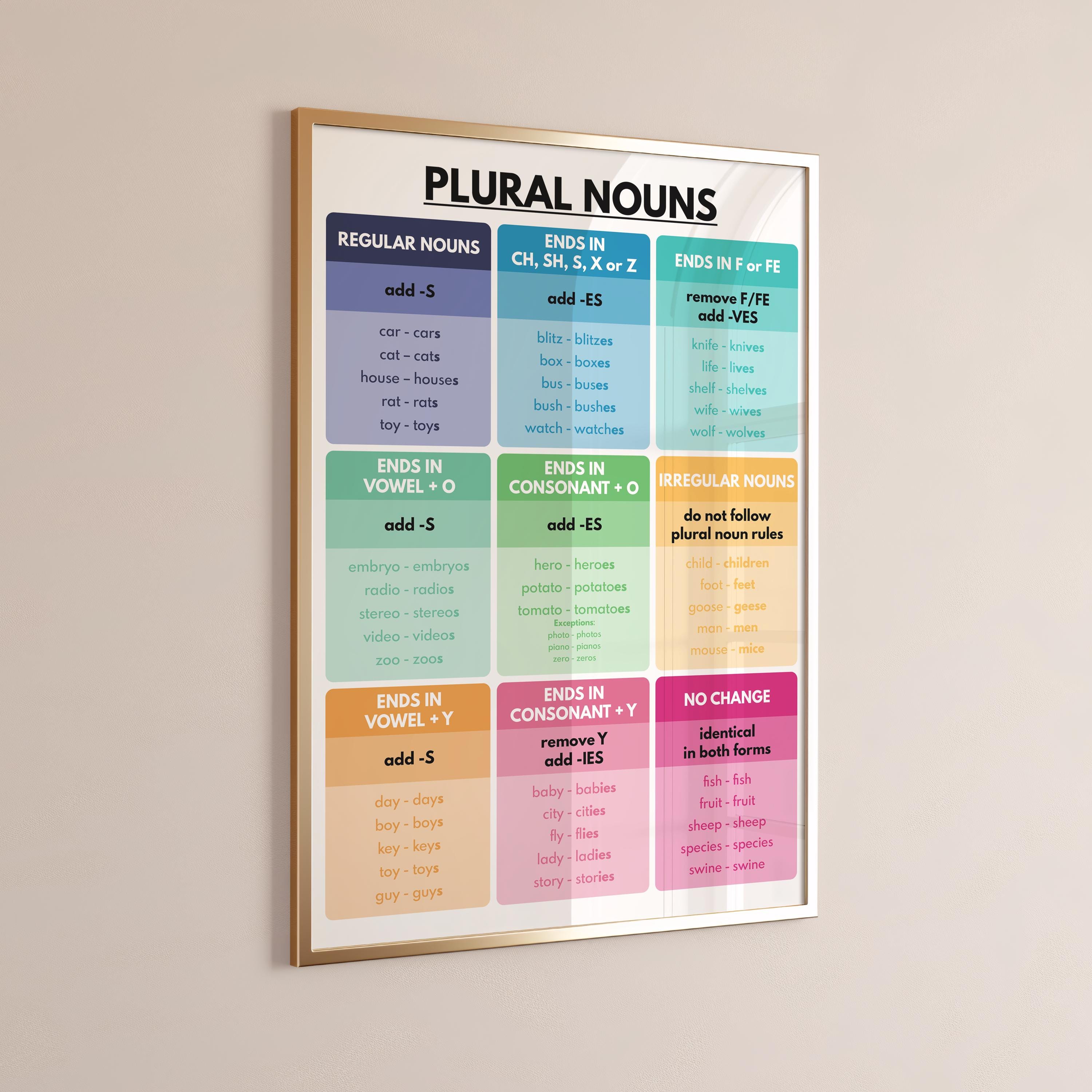 Buy PLURAL NOUNS POSTER, Grammar Anchor Chart for Homeschool, Classroom ...