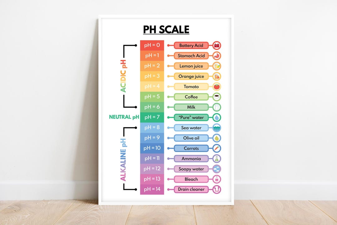 PH SCALE POSTER, Educational Poster, Science Poster for Kids, Math ...