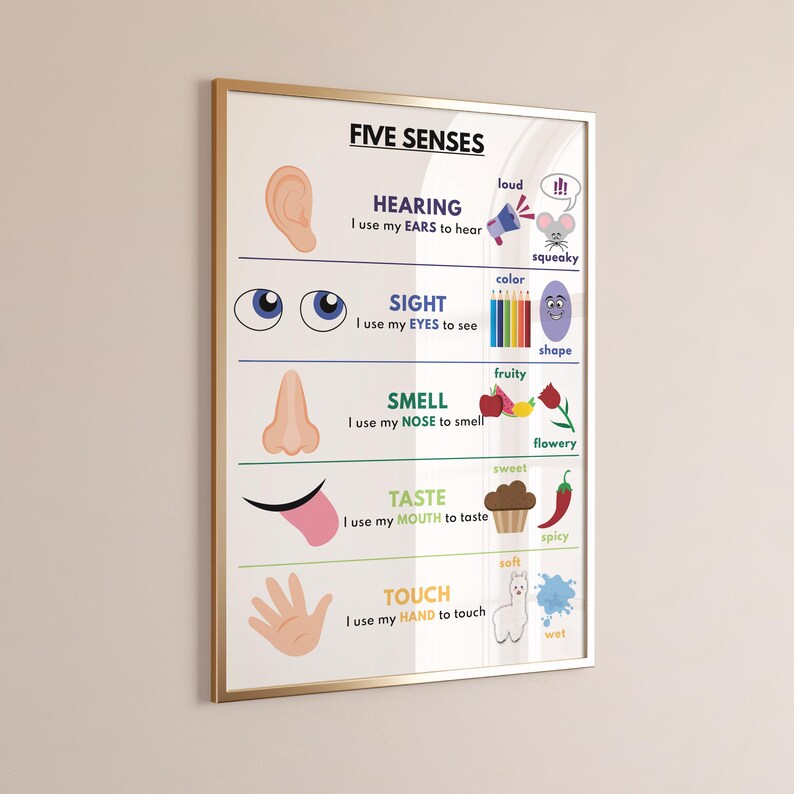 FIVE SENSES Poster, Educational Posters, Hearing Sight Smell Taste ...