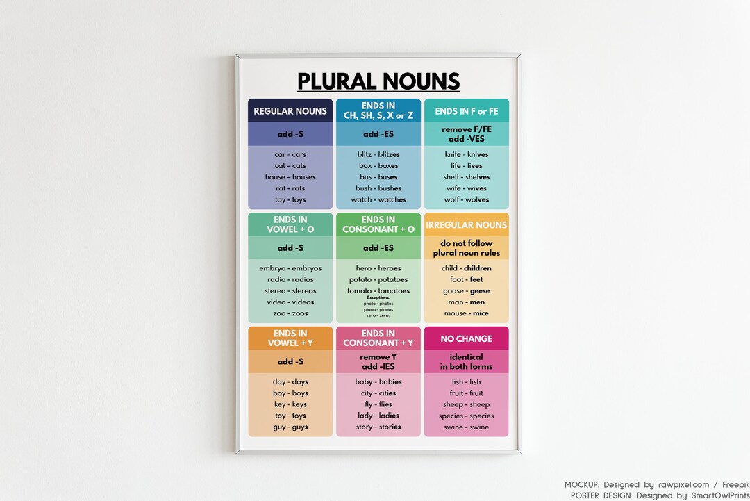 PLURAL NOUNS POSTER Grammar Chart for Homeschool Classroom - Etsy