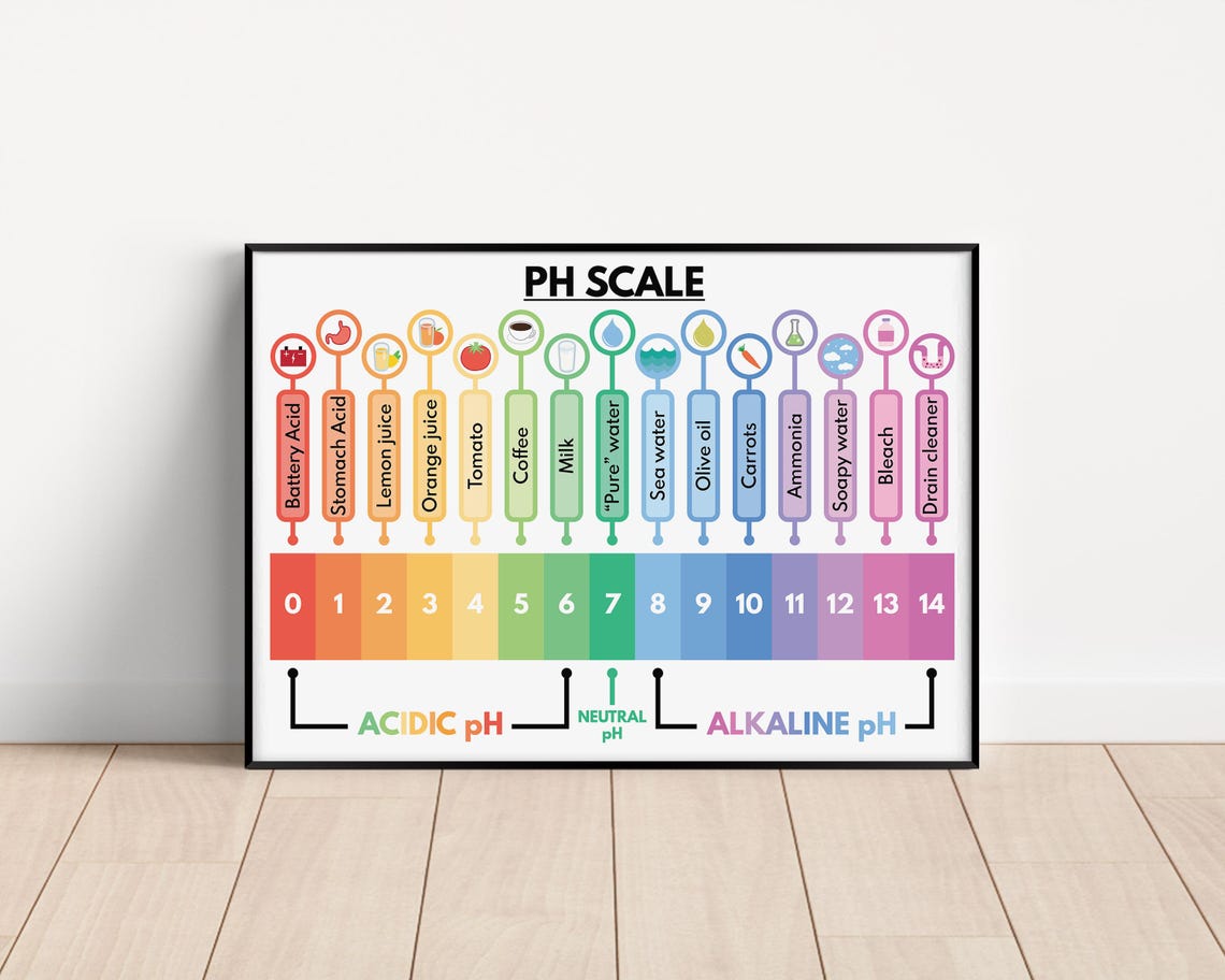 PH SCALE POSTER, Educational Posters, Science Poster for Kids, Visual ...