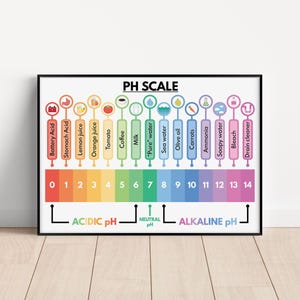 PH SCALE POSTER, Educational Posters, Science Poster for Kids, Visual ...