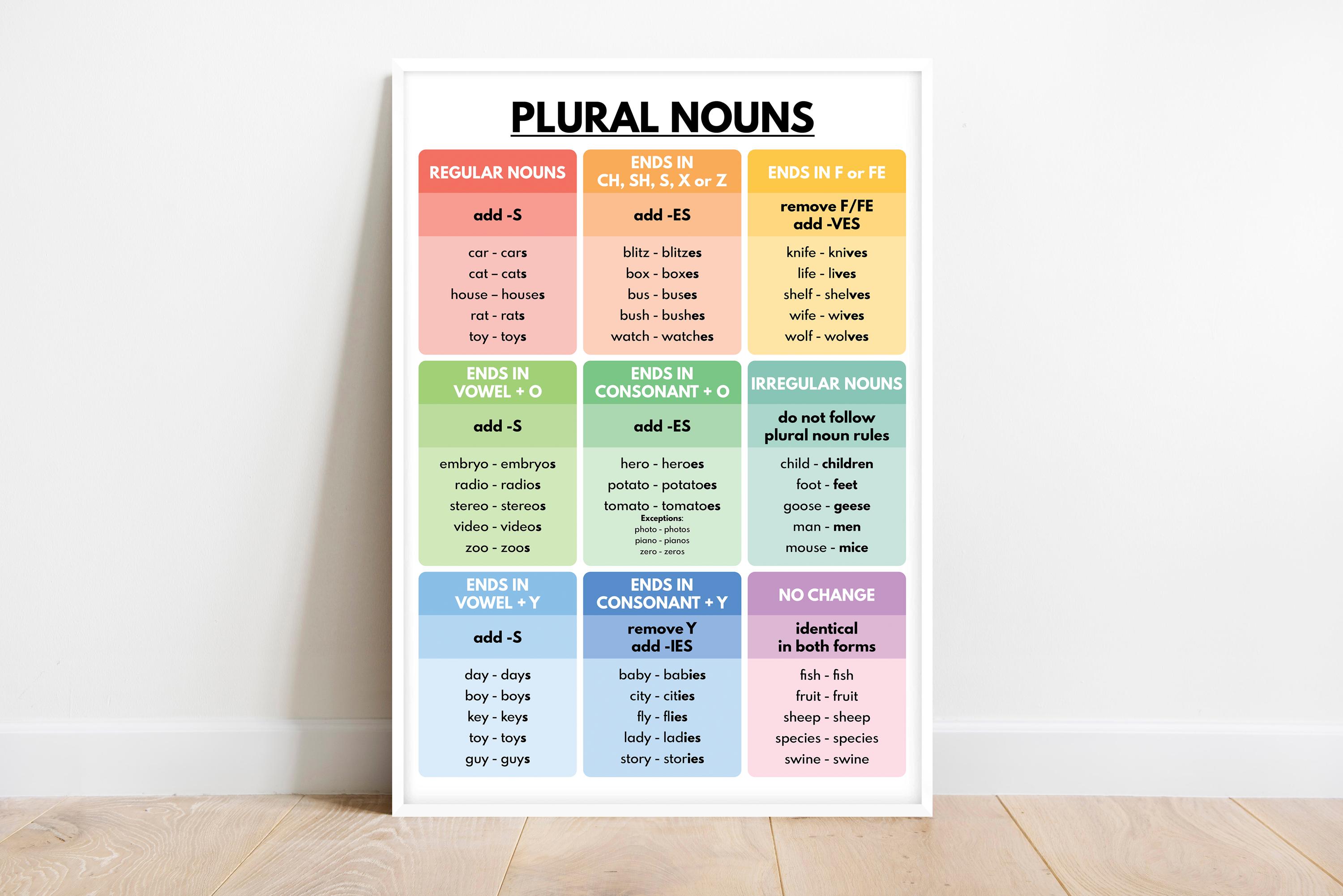 PLURAL NOUNS POSTER, Grammar Chart for Homeschool, Classroom Wall Decor ...