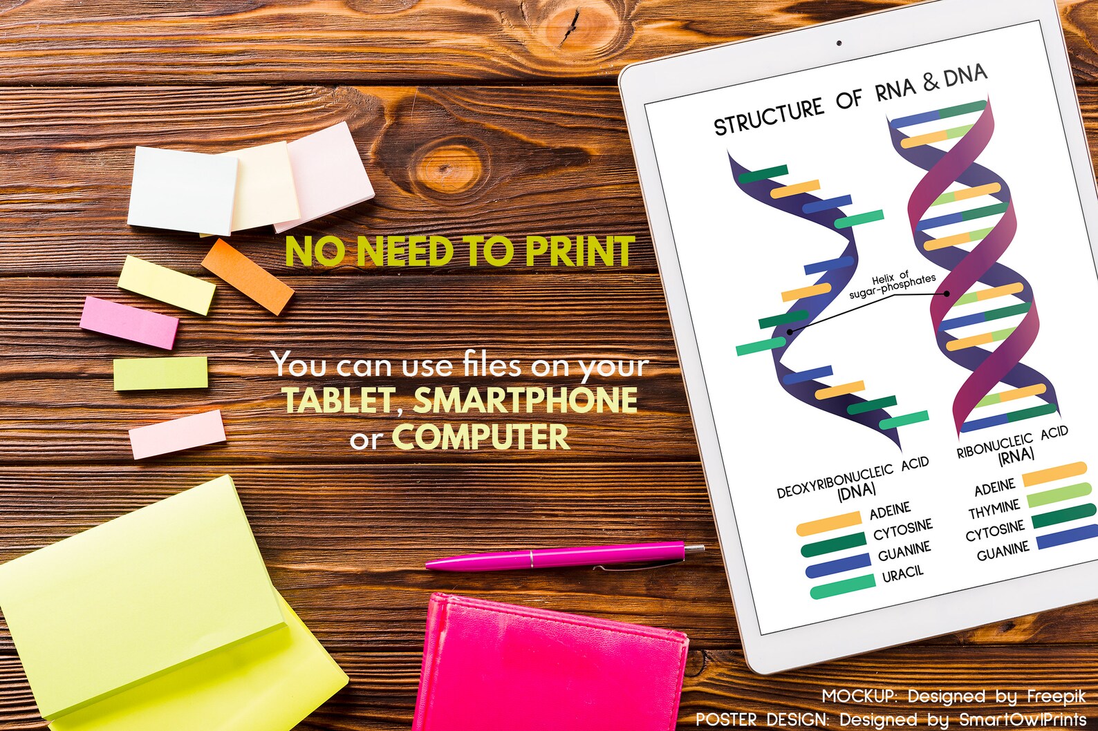 RNA and DNA POSTER, Structure of Dna and Rna, Biology Art Print, Medical Poster, Biology ...