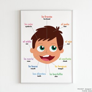 Spanish Language, BODY PARTS in Spanish, Face, Spanish Nouns, Spanish ...