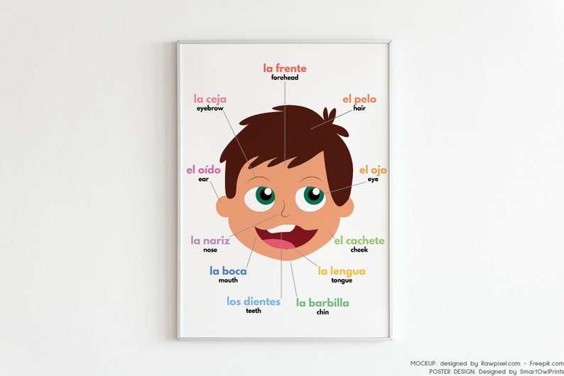 Spanish Language, BODY PARTS in Spanish, Face, Spanish Nouns, Spanish ...