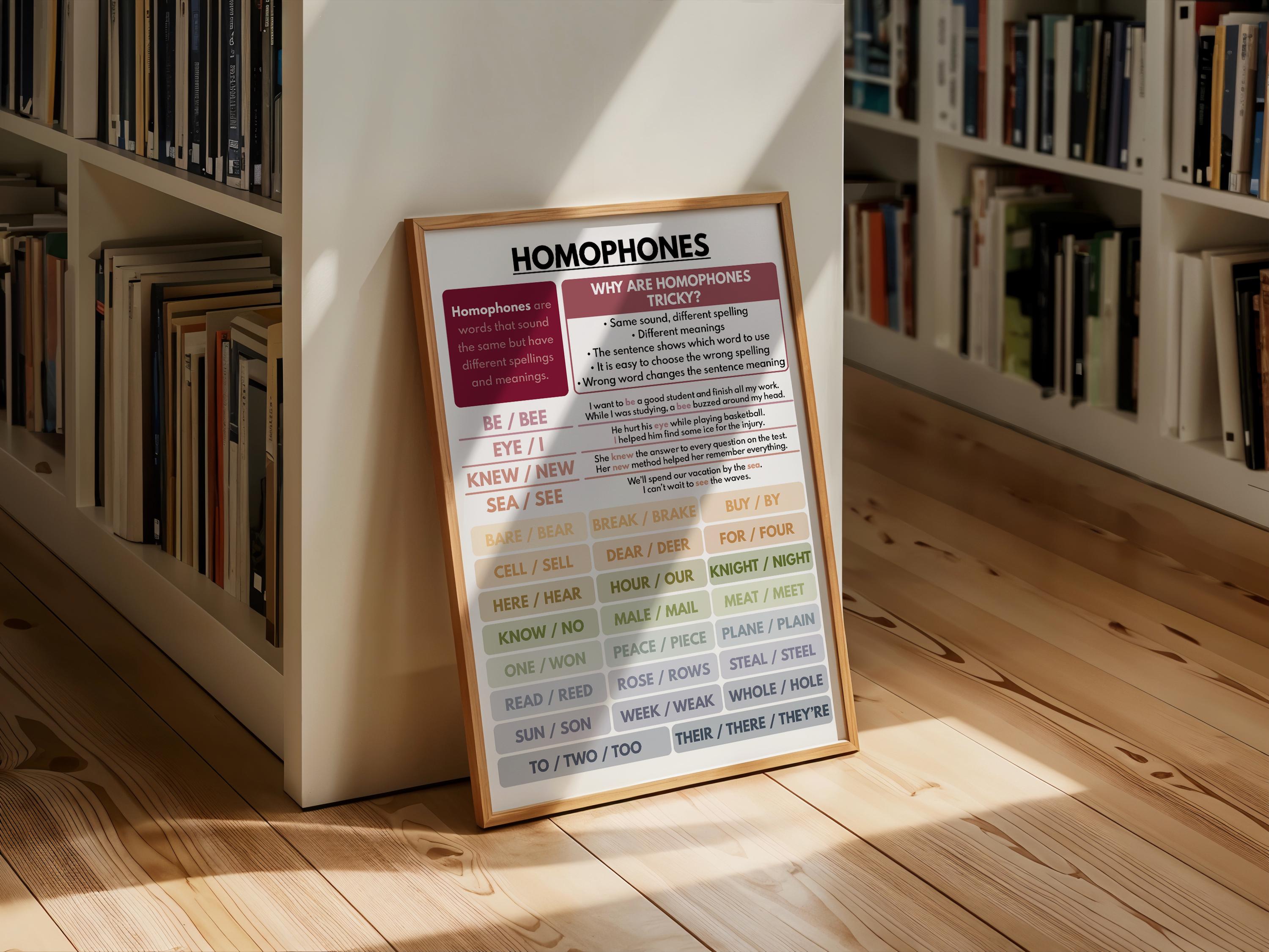HOMOPHONES POSTER, English Language, Grammar Chart, Correct Spelling ...