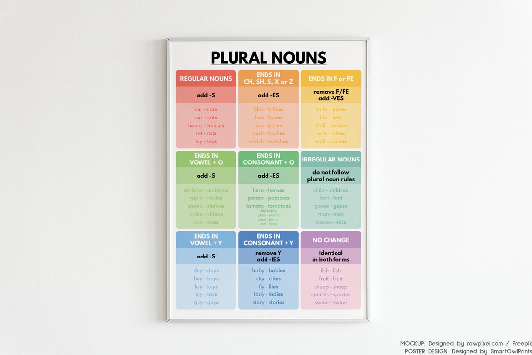 PLURAL NOUNS POSTER Grammar Rules Chart for Homeschool - Etsy Australia