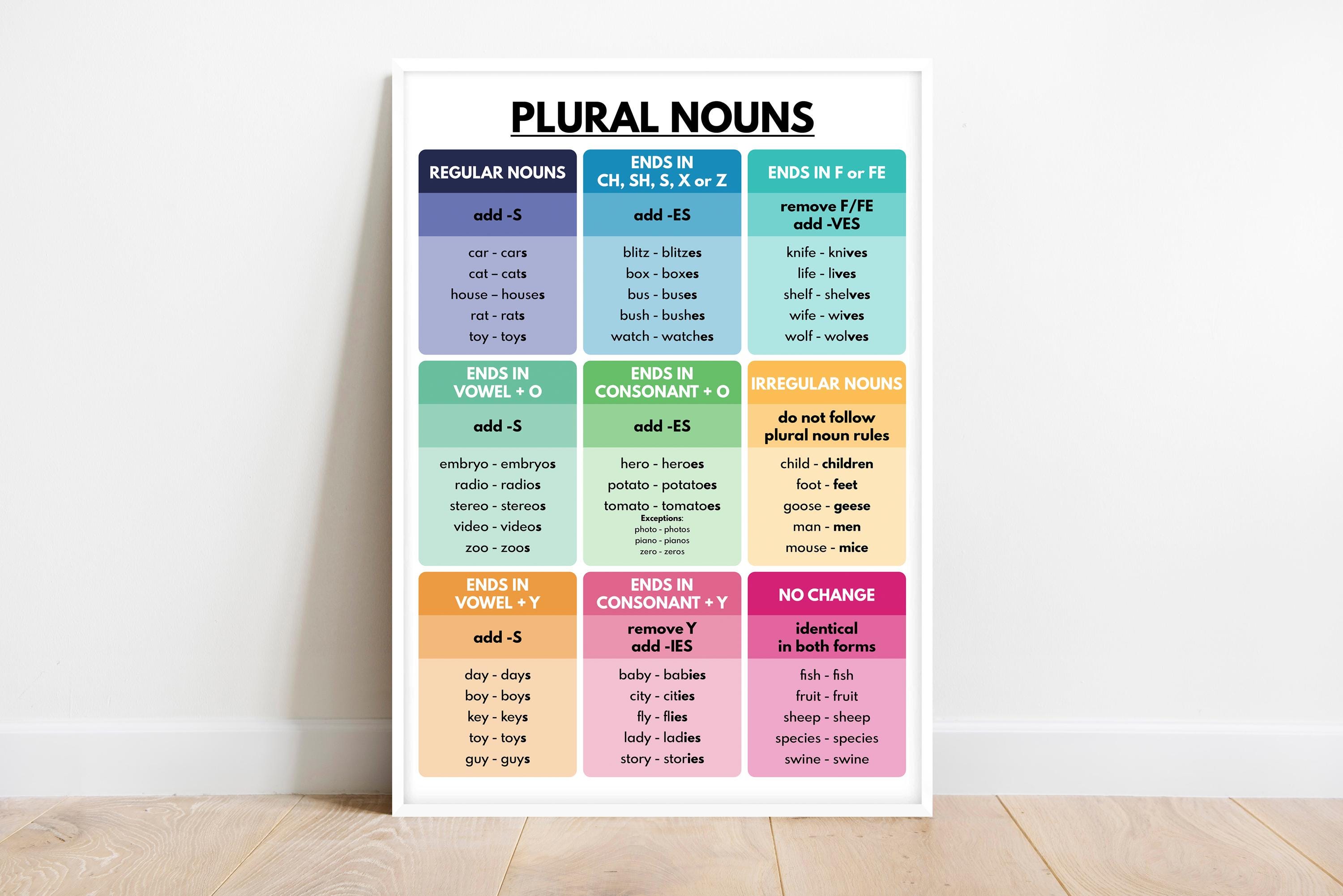 PLURAL NOUNS POSTER, Grammar Chart for Homeschool, Classroom Wall Decor ...