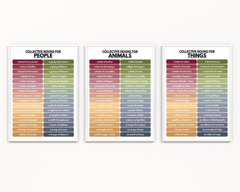Comprehensive COLLECTIVE NOUNS POSTER, English Vocabulary, Classroom ...