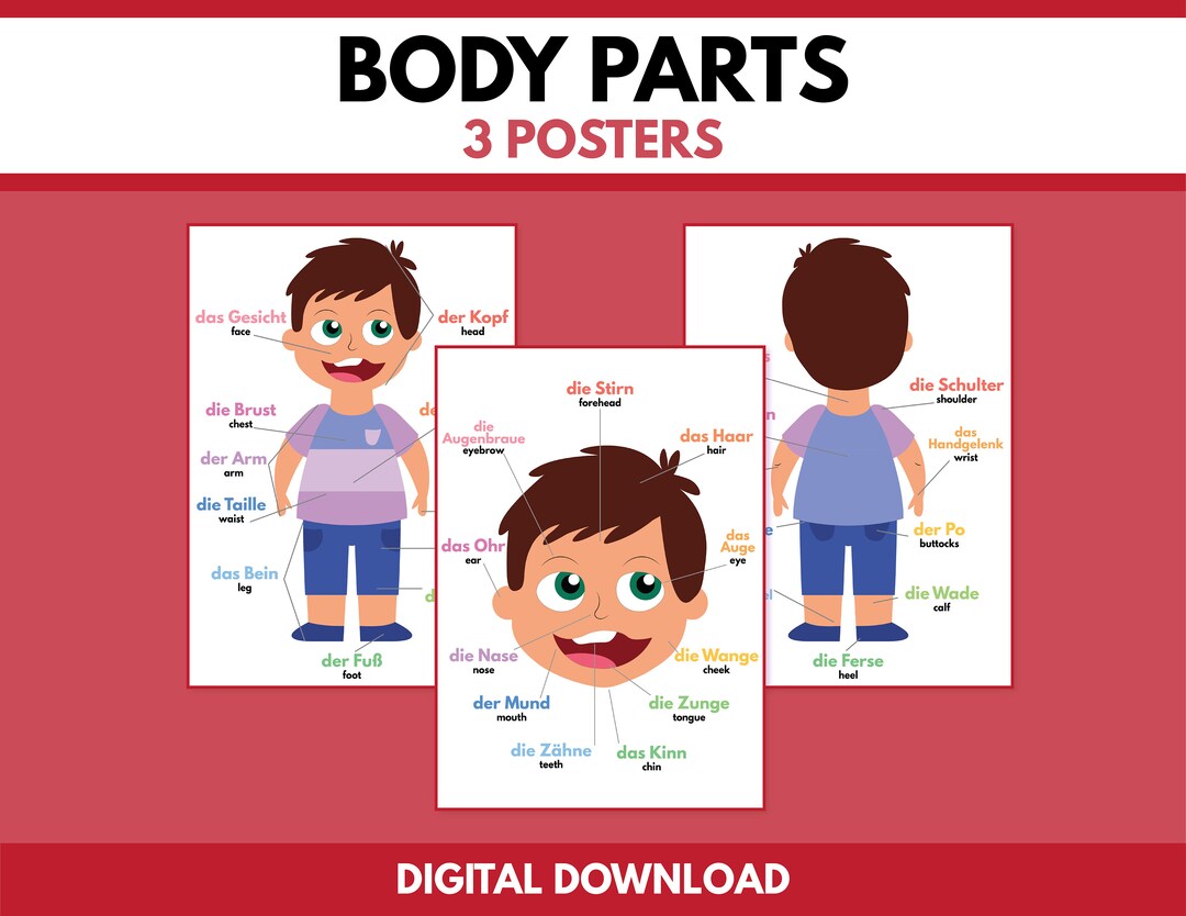 German Language, BODY PARTS in German, Face, German Vocabulary ...