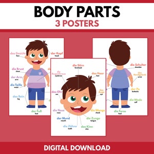 German Language, BODY PARTS - Set of 3 Posters, German Vocabulary ...