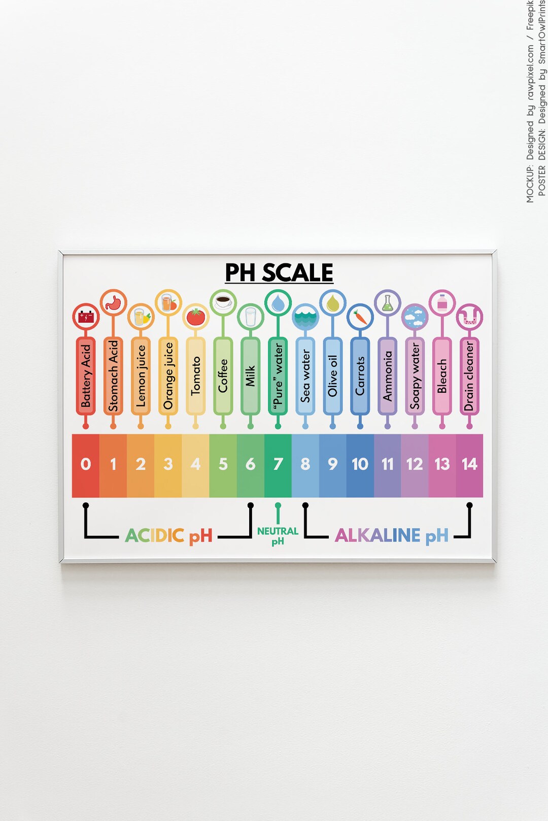 PH SCALE POSTER Educational Posters Science Poster for Kids - Etsy