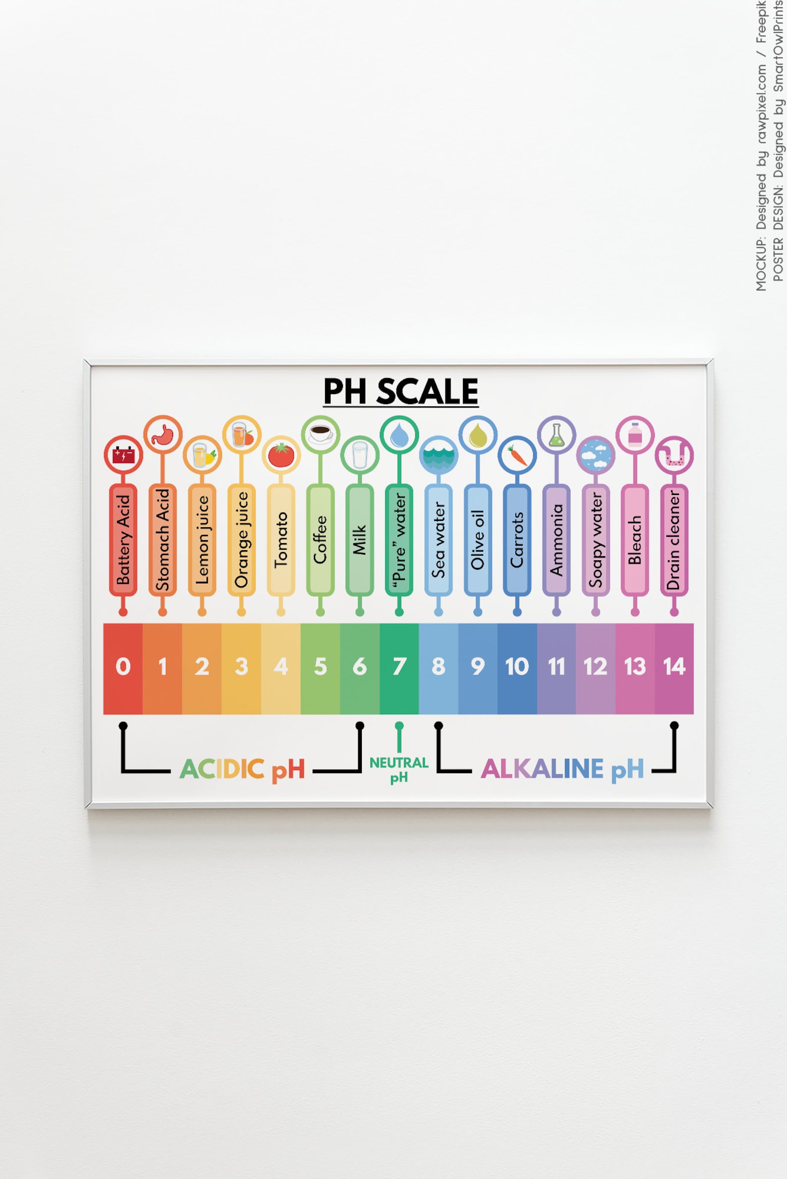 PH SCALE POSTER, Educational Posters, Science Poster for Kids, Visual ...