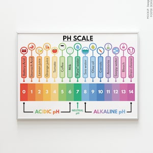 PH SCALE POSTER, Educational Posters, Science Poster for Kids, Visual ...
