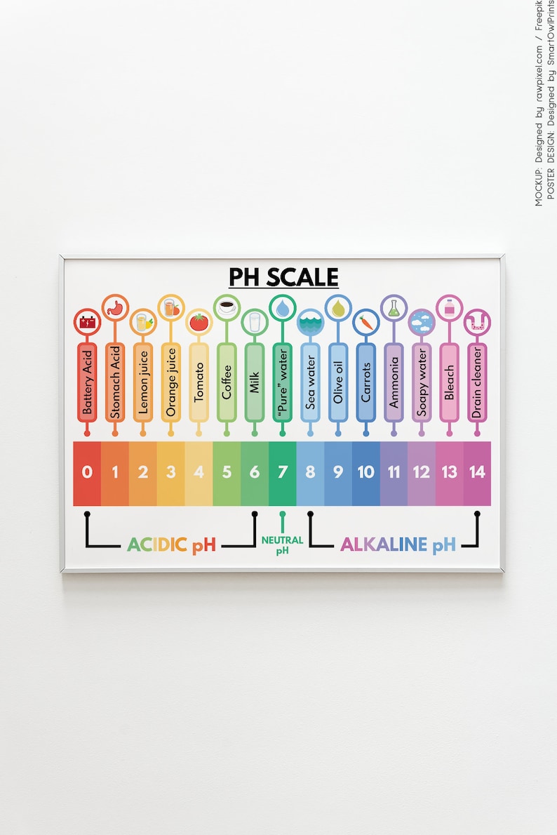 PH SCALE POSTER, Educational Posters, Science Poster for Kids, Visual ...