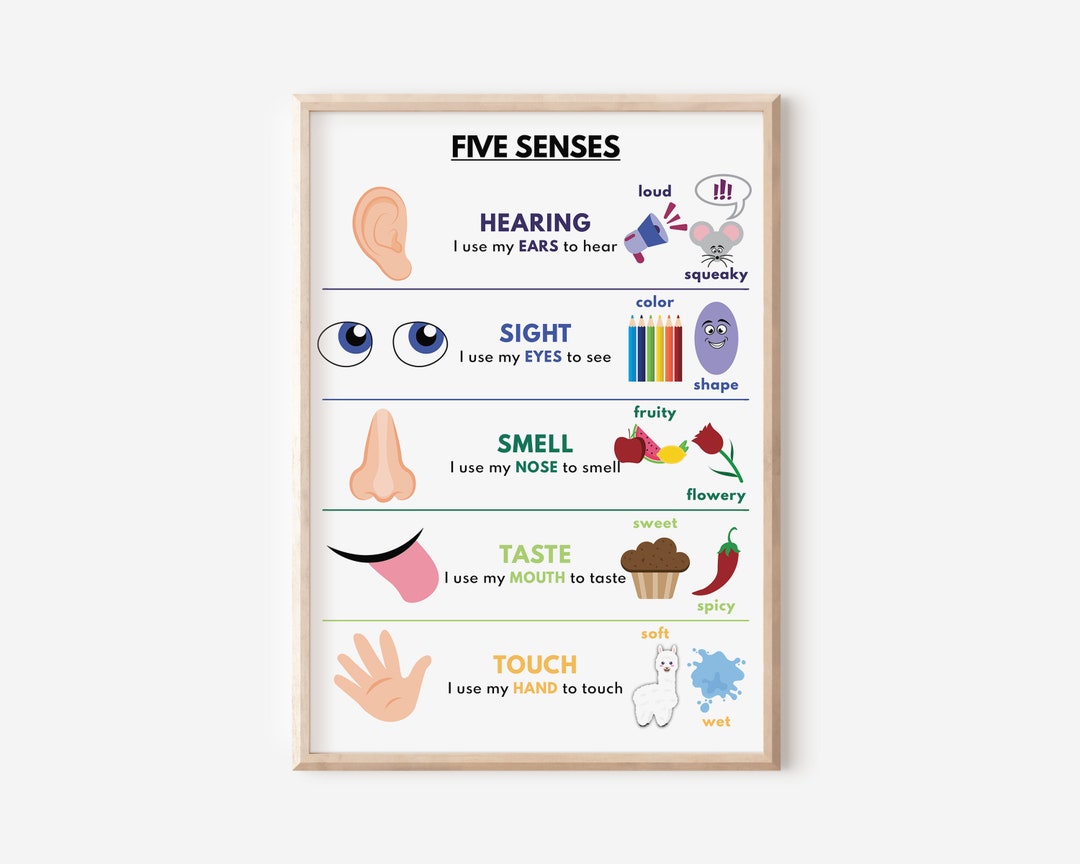 FIVE SENSES Poster, Educational Posters, Hearing Sight Smell Taste ...