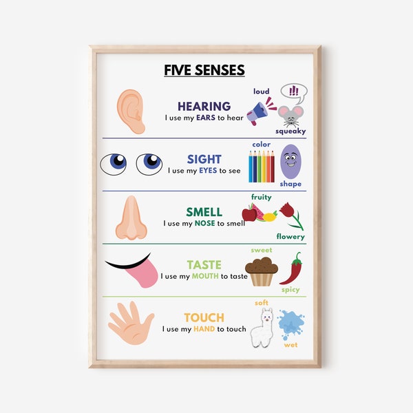 Sight Touch Smell - Etsy