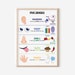 FIVE SENSES Poster, Educational Posters, Hearing Sight Smell Taste ...