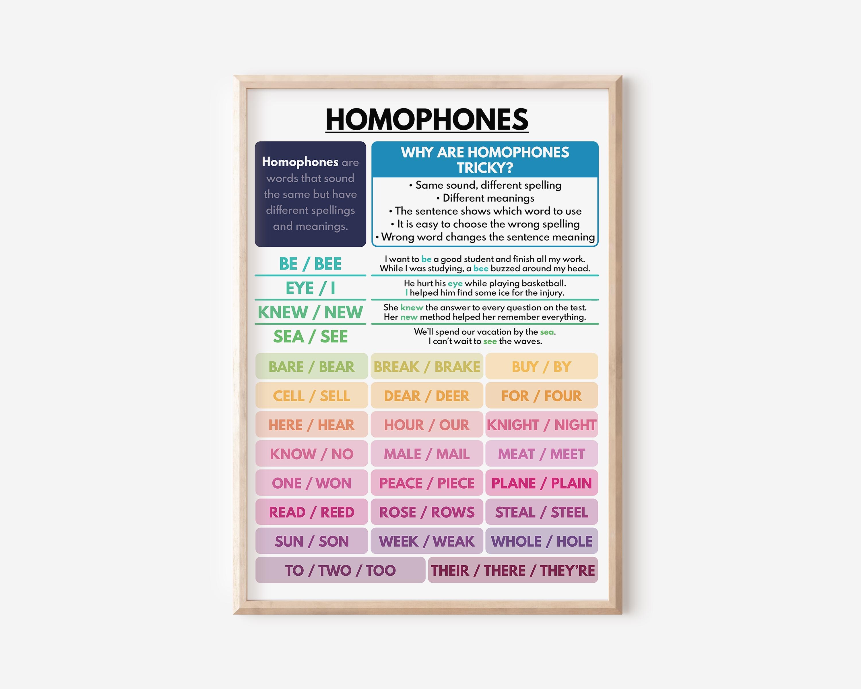 HOMOPHONES POSTER, English Language, Grammar Chart, Correct Spelling ...