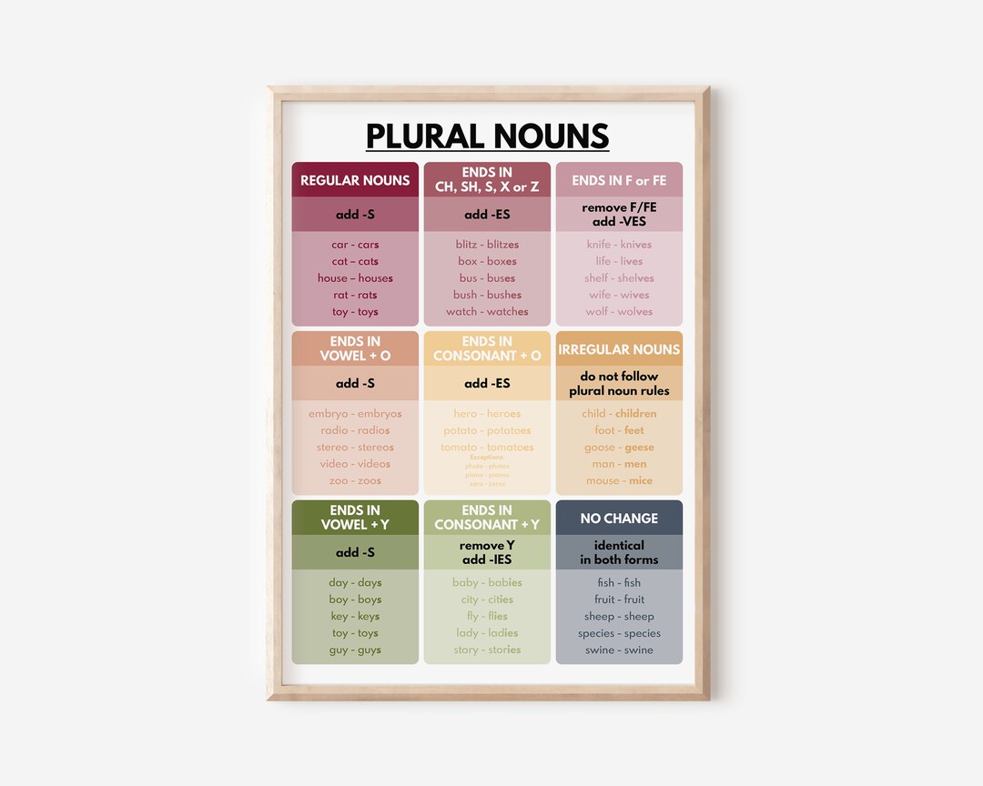 PLURAL NOUNS POSTER, Grammar Rules Chart for Homeschool, Classroom Wall ...