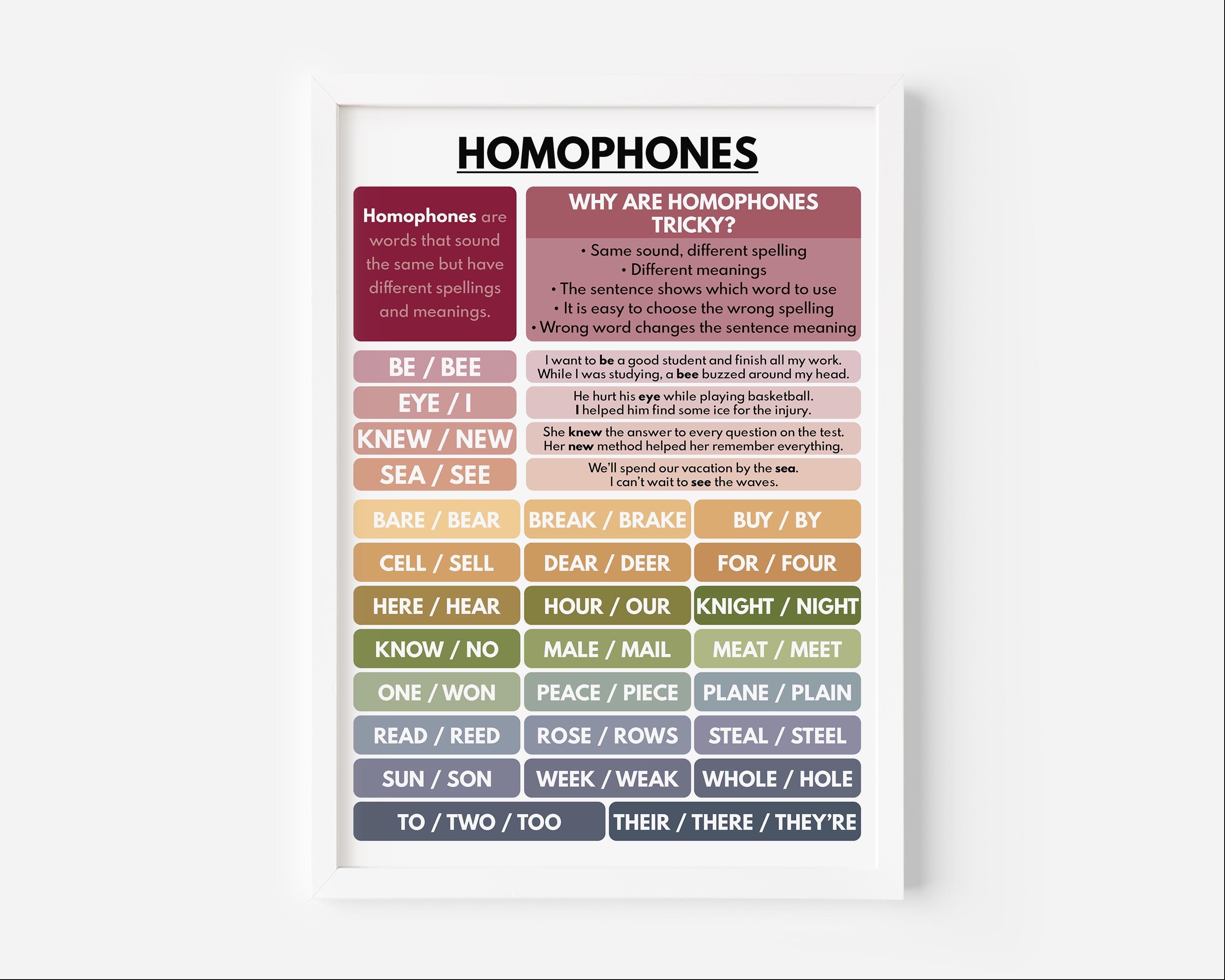 HOMOPHONES POSTER, English Language, Grammar Chart, Correct Spelling ...