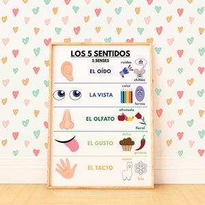 Spanish Language, FIVE SENSES POSTER, Educational Posters, Hearing ...