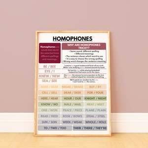 HOMOPHONES POSTER, English Language, Grammar Chart, Correct Spelling ...