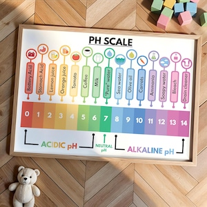 PH SCALE POSTER, Educational Posters, Science Poster for Kids, Visual ...