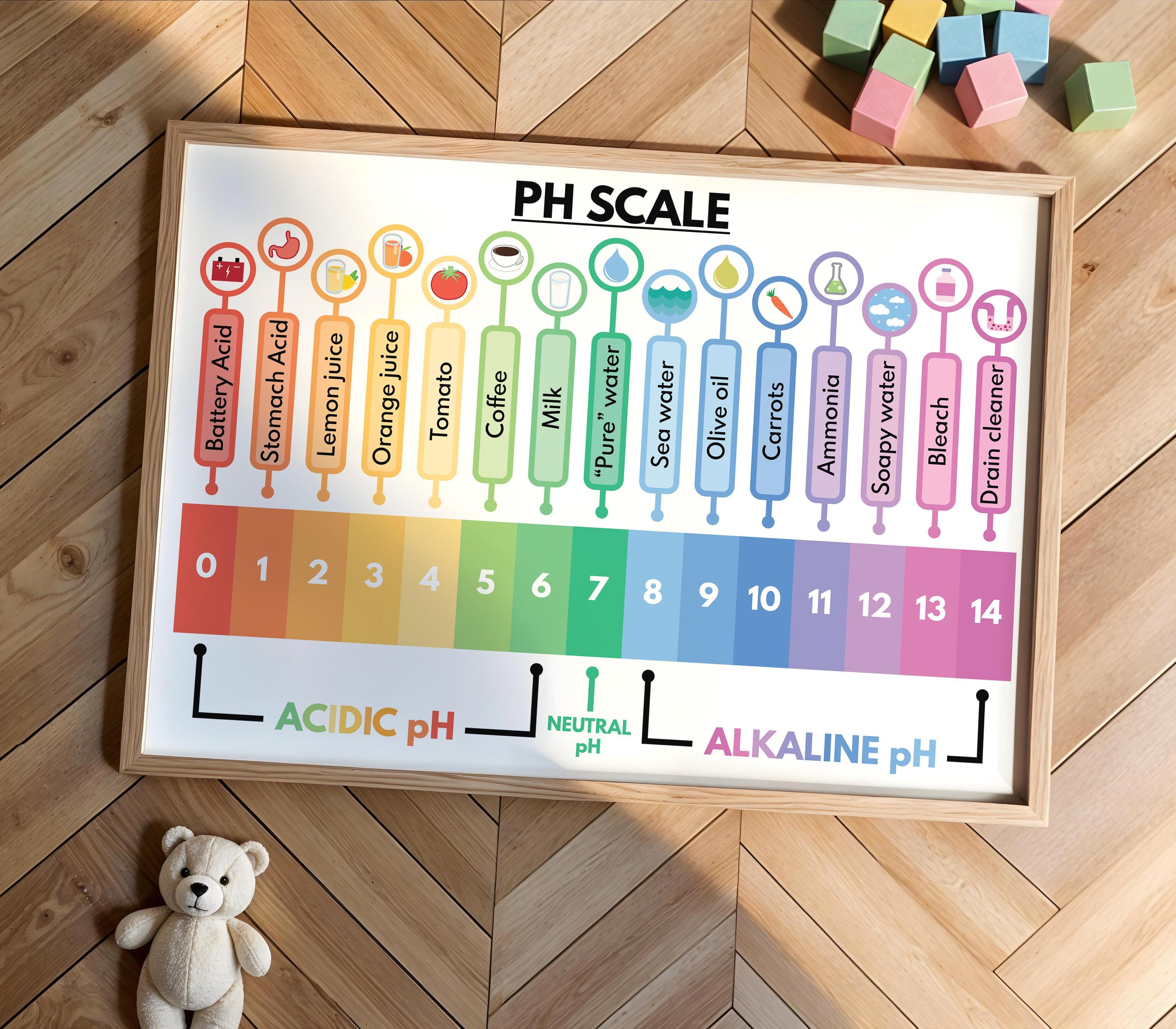 PH SCALE POSTER, Educational Posters, Science Poster for Kids, Visual ...